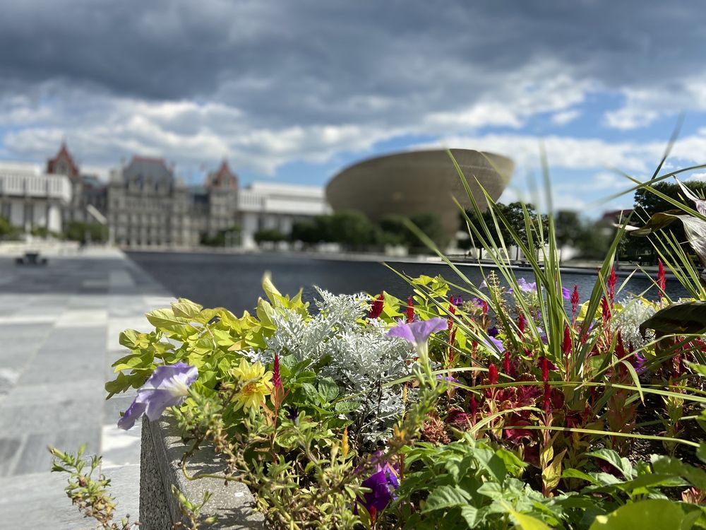 EMPIRE STATE PLAZA CONCOURSE - Updated September 2024 - 91 Photos & 17 ...