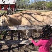 BLUEBIRD GAP FARM - 144 Photos & 46 Reviews - Parks - 31 Pine Chapel Rd ...