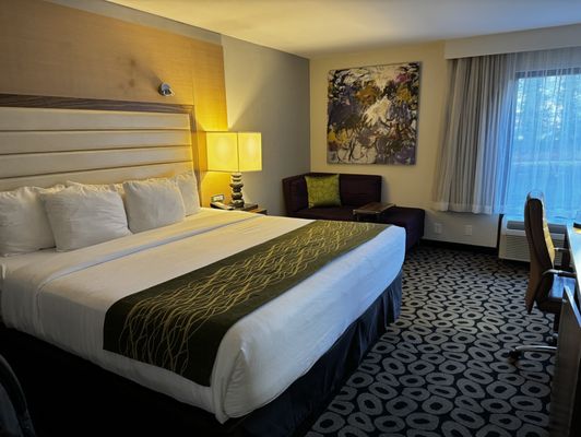 COMFORT INN RALEIGH MIDTOWN - Updated December 2025 - 51 Photos & 23 ...