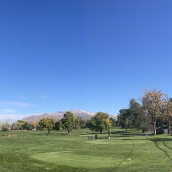 FOREST DALE GOLF COURSE - Updated December 2025 - 17 Photos & 17 ...