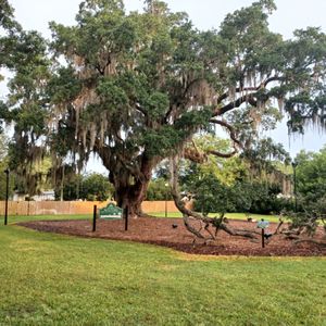 BLUE JACKET PARK - 126 Photos & 49 Reviews - 2501 General Reese Ave ...