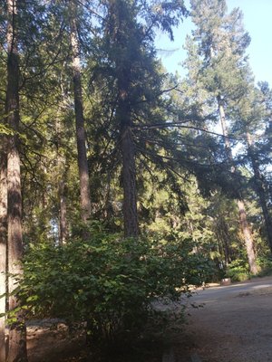 LAKE SELMAC COUNTY PARK - Updated July 2024 - 14 Photos & 12 Reviews ...