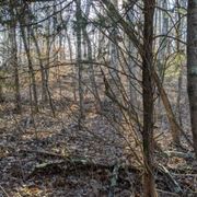 SAUNDERS SPRINGS NATURE PRESERVE - 121 Photos & 23 Reviews - N Wilson ...