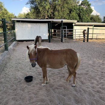 BLORA RANCH - Updated September 2025 - 45 Photos & 10 Reviews - North ...