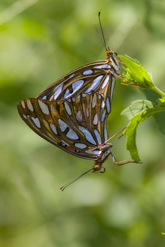 KATHY ADAMS CLARK PHOTOGRAPHY - Updated June 2026 - The Woodlands ...