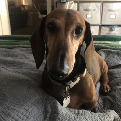 SANTA ROSA BEHAVIORAL HEALTHCARE HOSPITAL - Updated January 2026 - 59 ...