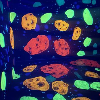 IMAGINE 3D MINI GOLF - Updated May 2025 - 241 Photos & 294 Reviews ...