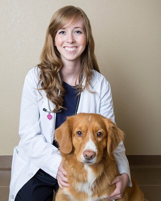 DENTON VETERINARY CENTER - Updated October 2025 - 51 Photos & 55 ...