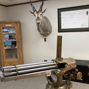 DENVER GUNS AND AMMO - Updated April 2025 - 32 Reviews - 8250 W Coal ...