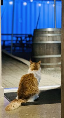 PROJECT 9 BREWING - Updated November 2024 - 69 Photos & 34 Reviews ...