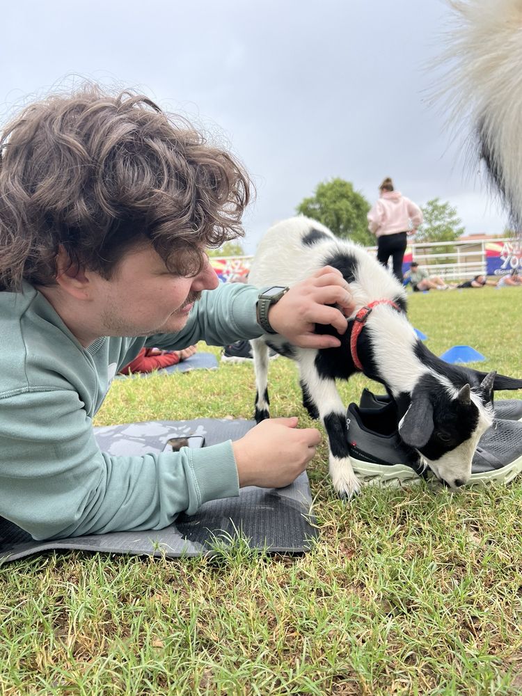 GOAT YOGA - Updated October 2025 - 243 Photos & 155 Reviews - Gilbert ...