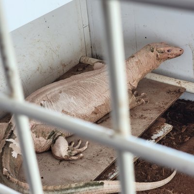 ZOO CREATURES PET STORE - Updated August 2024 - 68 Photos & 65 Reviews ...