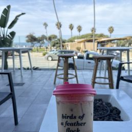 PARAKEET CAFE - Updated July 2025 - 49 Photos & 23 Reviews - 1155 Coast ...