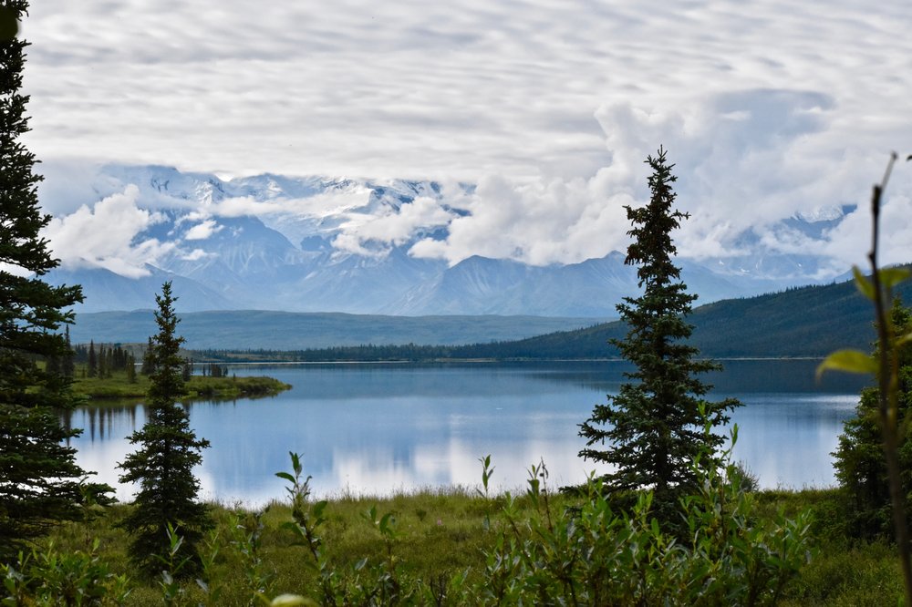 DENALI BACKCOUNTRY LODGE - Updated October 2025 - 20 Photos - Mile 92 ...