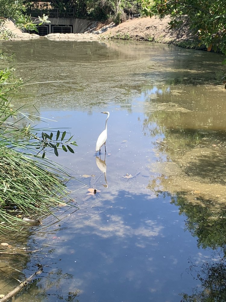 TURTLE ROCK NATURE CENTER - Updated March 2025 - 1 Sunnyhill Dr, Irvine ...