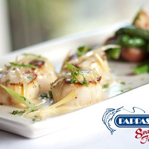 LECHUGA’S ITALIAN RESTAURANT - Updated May 2025 - 129 Photos & 262 ...