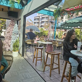 COCO MAYA - Updated March 2025 - 1599 Photos & 765 Reviews - 1660 India ...