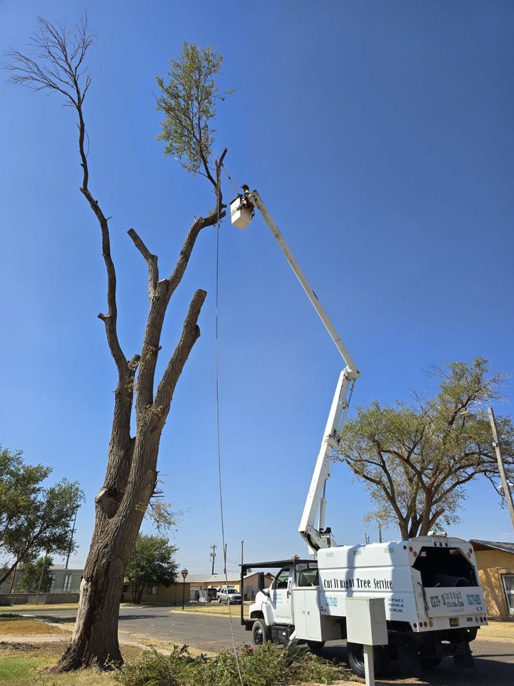 CUT IT RIGHT TREE SERVICE & LANDSCAPING - Updated March 2025 - Floyd, New Mexico - Firewood ...