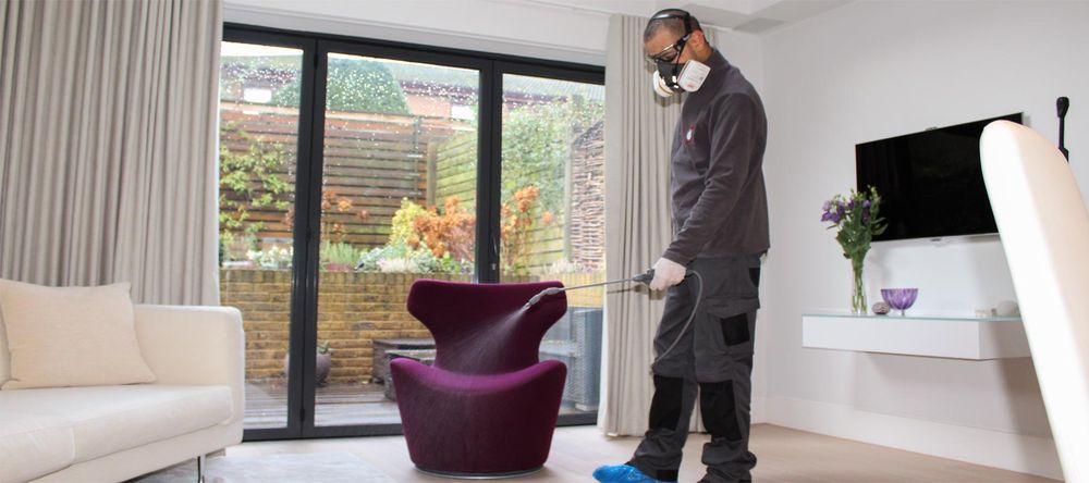 BED BUG HUNTERS - Updated September 2025 - 14 Photos - London, United ...