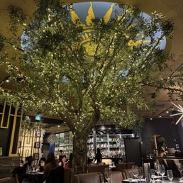 VIA ALLEGRO RISTORANTE - Updated December 2025 - 223 Photos & 111 ...