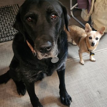 CASCADE MEADOWS RV RESORT - Updated September 2025 - 52 Photos & 20 ...