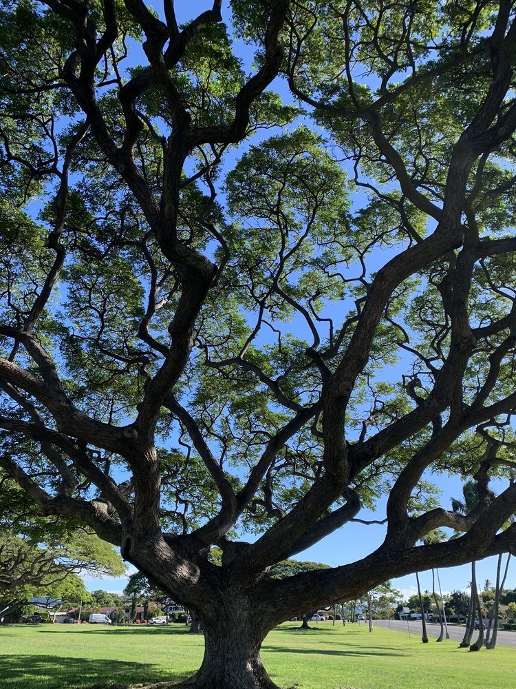 FORT RUGER MINI PARK / OPERATION RED WINGS MEDAL OF HONOR PARK ...