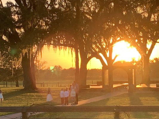 WINDSONG RANCH - Updated February 2025 - 32 Photos - 93 SW 132nd Rd ...