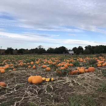 BUTTONWOOD FARM - Updated August 2024 - 43 Photos & 10 Reviews - 473 ...