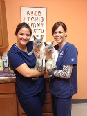 ADVANTAGE VETERINARY CENTER - Updated September 2025 - 17 Photos & 29 ...