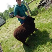 GILFILLAN FARM - 83 Photos - Historical Tours - 1950 Washington Rd ...