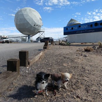 AREA 66 - TEMP. CLOSED - Updated December 2025 - 57 Photos & 25 Reviews ...