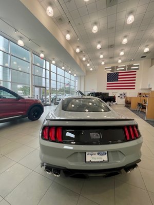 WAYNE FORD - Updated January 2026 - 12 Photos & 73 Reviews - 444 US Hwy ...