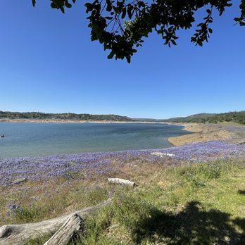 FOLSOM LAKE STATE RECREATION AREA - Updated November 2024 - 479 Photos ...
