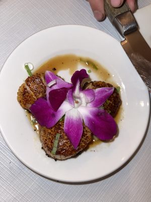 PRIVATE PROPERTY - Updated December 2025 - 250 Photos & 354 Reviews ...