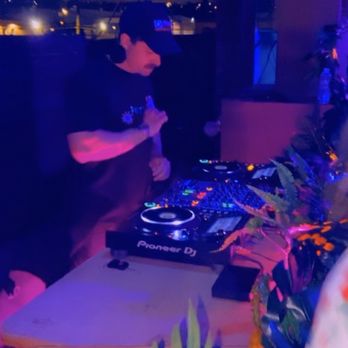 MONKEY LOFT - Updated July 2024 - 44 Photos & 93 Reviews - 2915 1st Ave ...