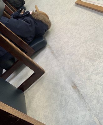 PROSPECT MEDICAL GROUP - Updated October 2025 - 7915 Westminster Blvd ...