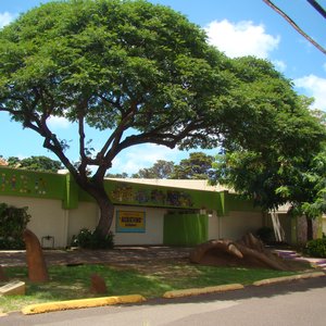 KAHALA ELEMENTARY SCHOOL - 4559 Kilauea Ave, Honolulu, HI - Yelp