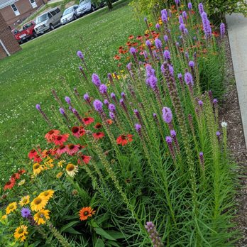 EDITH WHEELER MEMORIAL LIBRARY - Updated December 2024 - 10 Photos ...