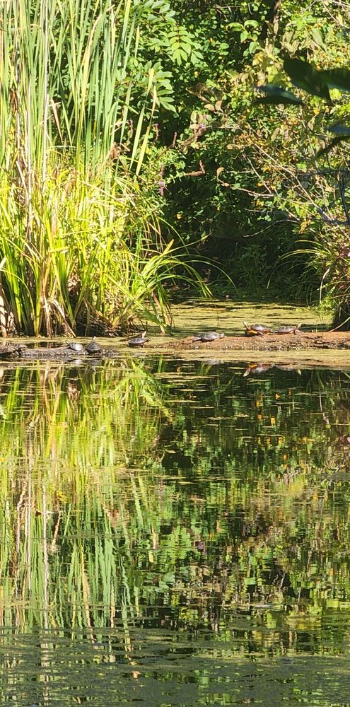 WAKEDA CAMPGROUND - Updated January 2026 - 17 Photos & 19 Reviews - 294 ...