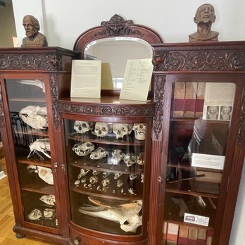 INTERNATIONAL MUSEUM OF SURGICAL SCIENCE - Updated September 2024 - 631 ...