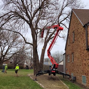 BROWN TREE SERVICE - Updated December 2025 - 50 Photos & 44 Reviews ...