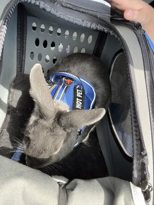 MURRAY CITY LIBRARY - Updated July 2025 - 20 Photos & 21 Reviews - 166 ...