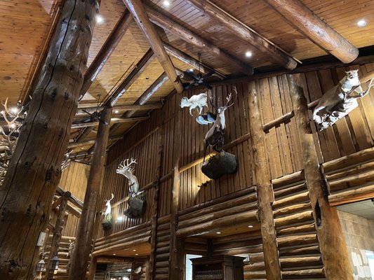 THE LODGE AT WILDERNESS RIDGE - Updated November 2024 - 134 Photos & 85 ...