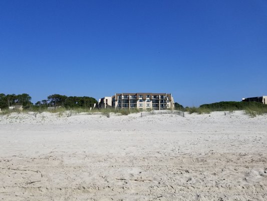 SHORE BEACH SERVICE - Updated May 2025 - 15 Photos & 12 Reviews - 116 ...