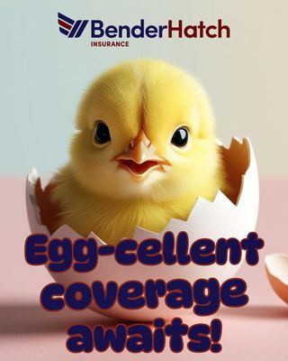 BENDER HATCH INSURANCE AGENCY - Updated October 2025 - 56 Photos & 69 ...