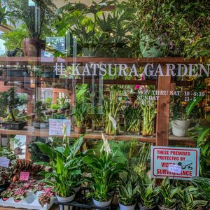 FLOWERCRAFT GARDEN CENTER - Updated June 2025 - 704 Photos & 233 ...