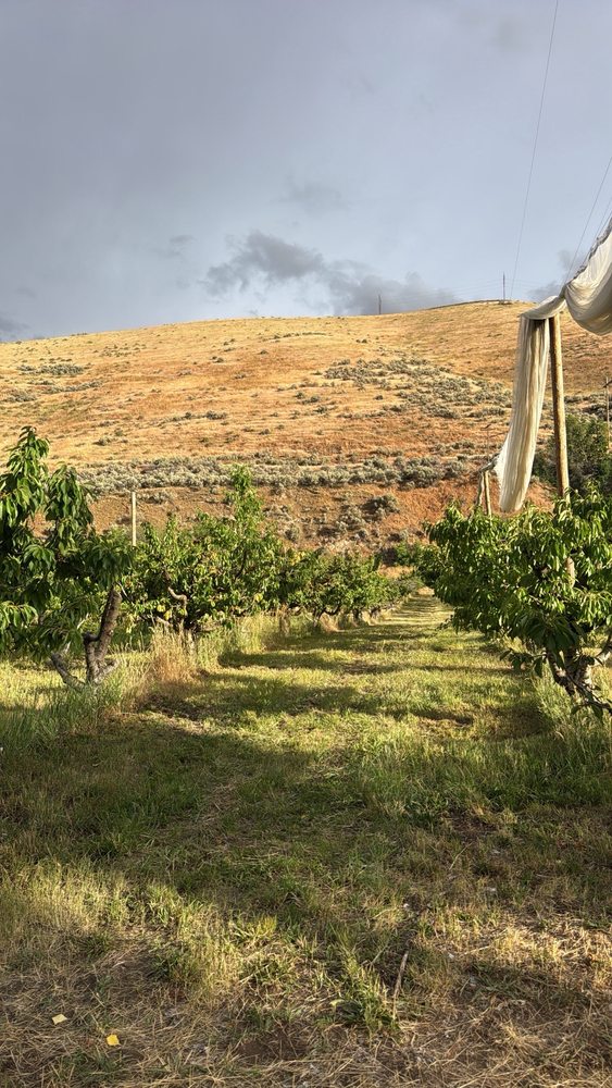 WILSON BANNER RANCH - Updated December 2025 - 10 Photos - 16397 Highway ...