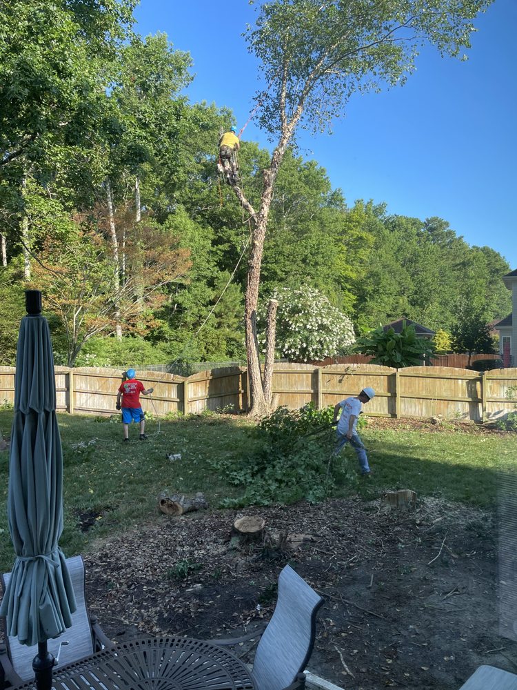 BISHOPS TREE SERVICE - Updated October 2025 - 19 Photos & 27 Reviews ...