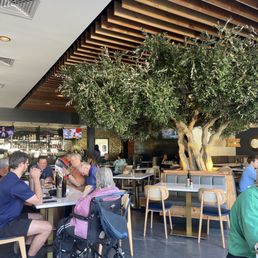 MEDDYS - Updated December 2025 - 268 Photos & 104 Reviews - 17255 ...