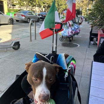 CON AZUCAR CAFE - Updated July 2025 - 1136 Photos & 620 Reviews - 101 E ...